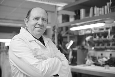 Management Team | H.E.L Group